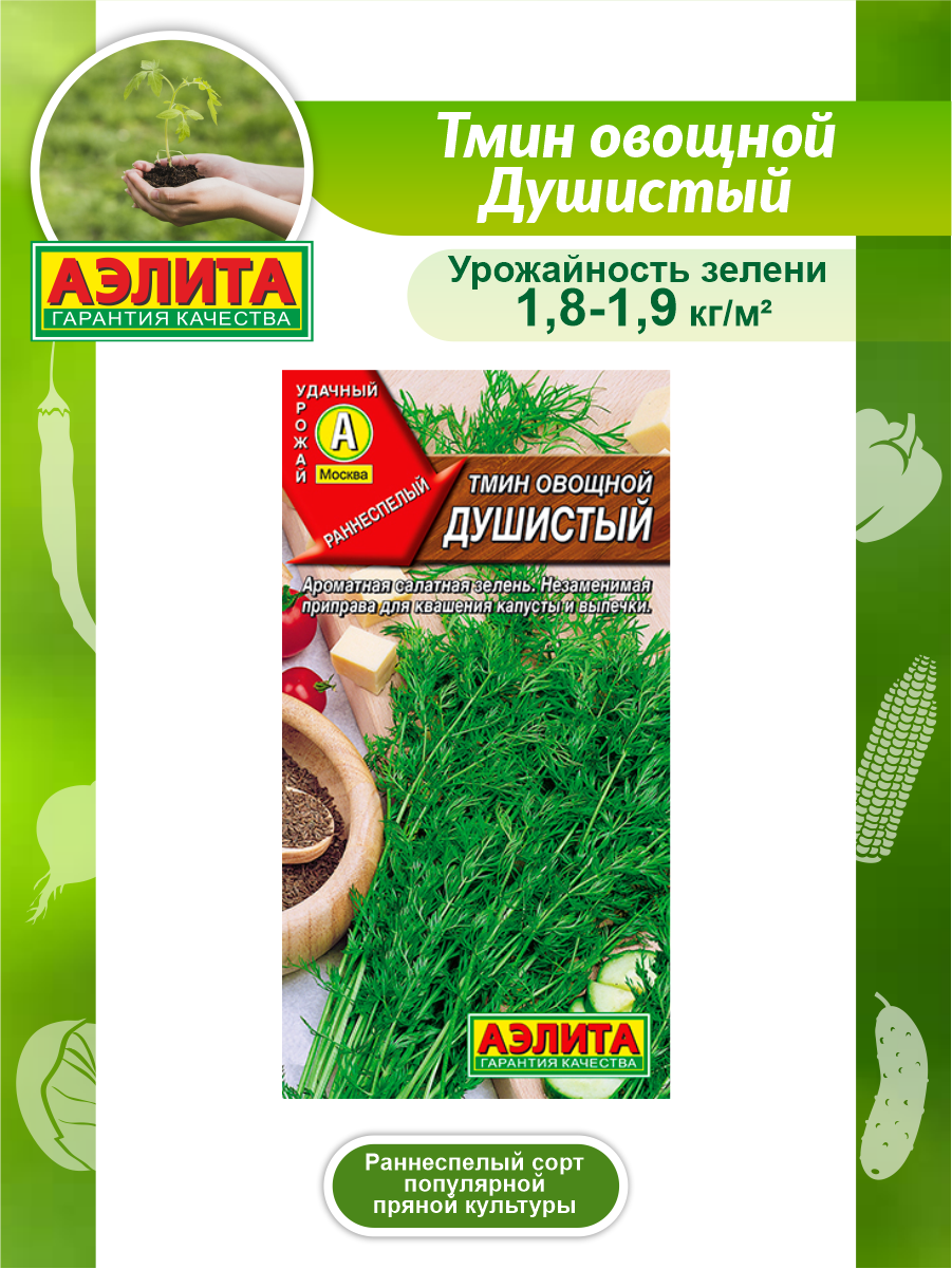 Семена Тмин овощной Душистый 0,3 гр.