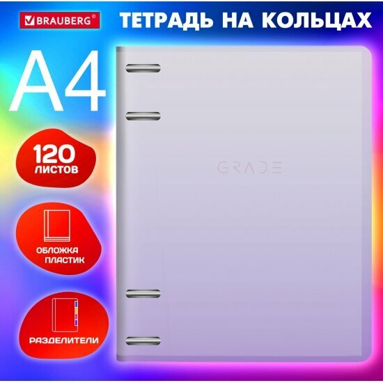 Тетрадь на кольцах Brauberg большая 305х230 мм А4, 120 л, пластик, с разделителями, , Фиолетовый, 404623