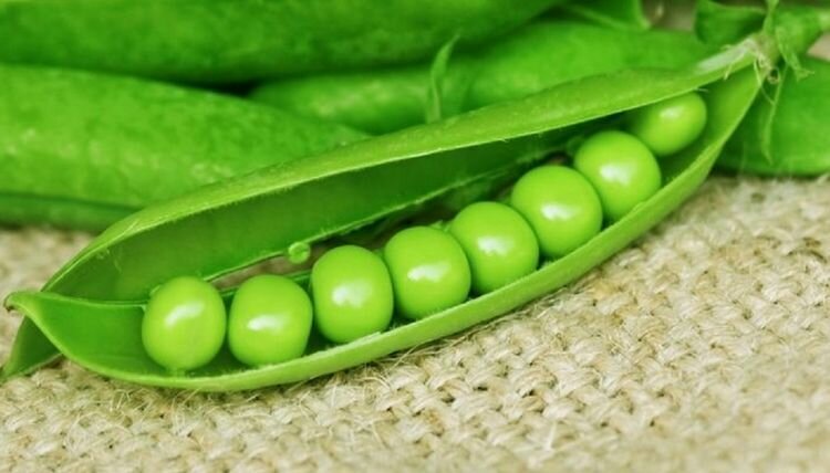 Горох Семья