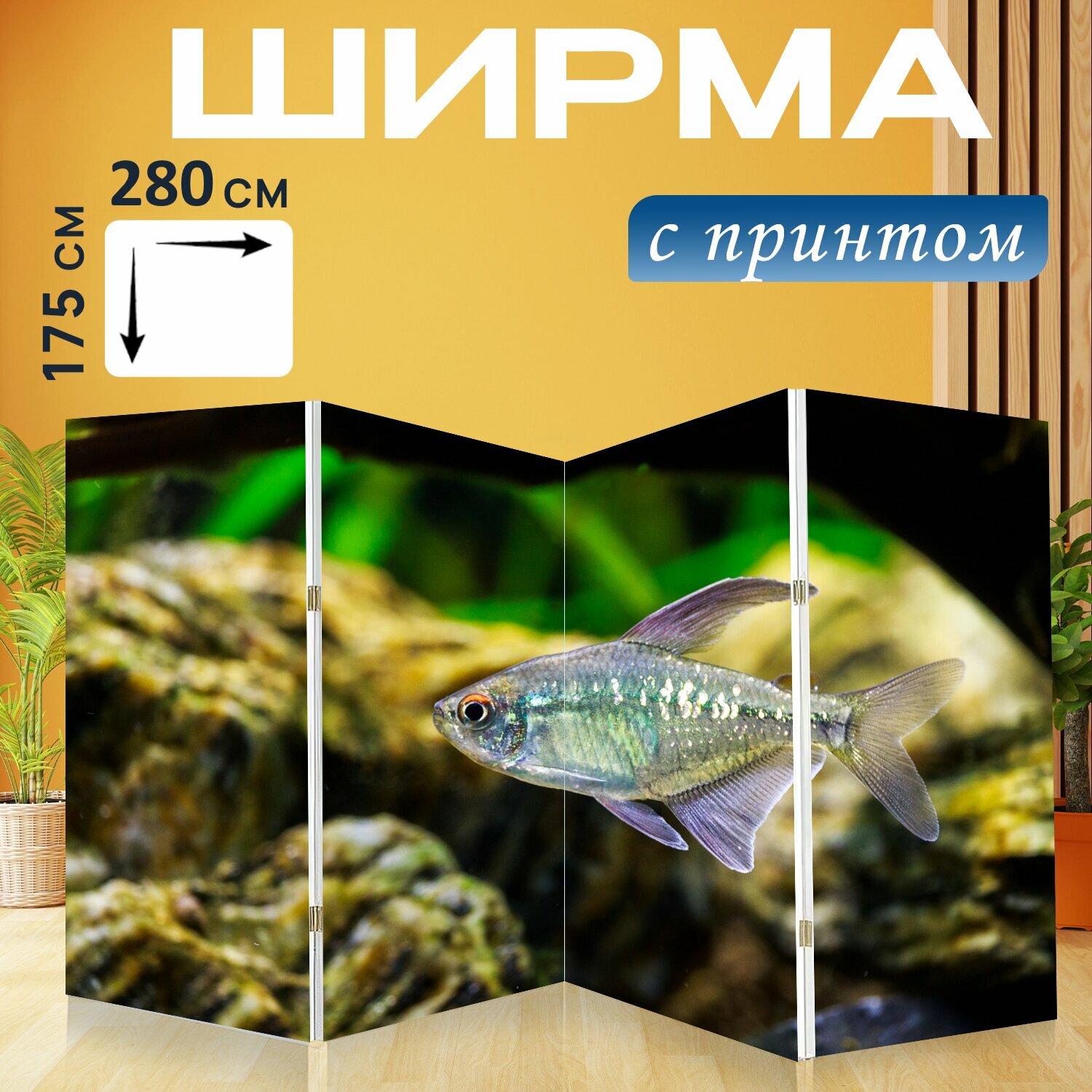 Ширма "Алмазная тетра, рыбы, аквариум" перегородка для зонирования комнаты с принтом 280x175 см. на холсте