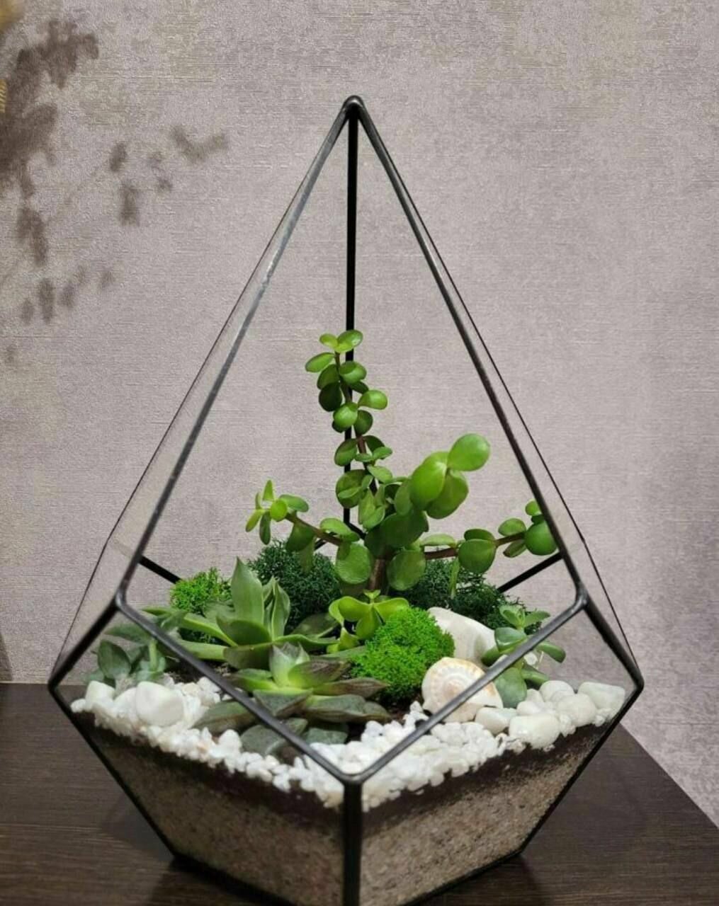 Флорариум с суккулентами / Комнатное растение / Подарок