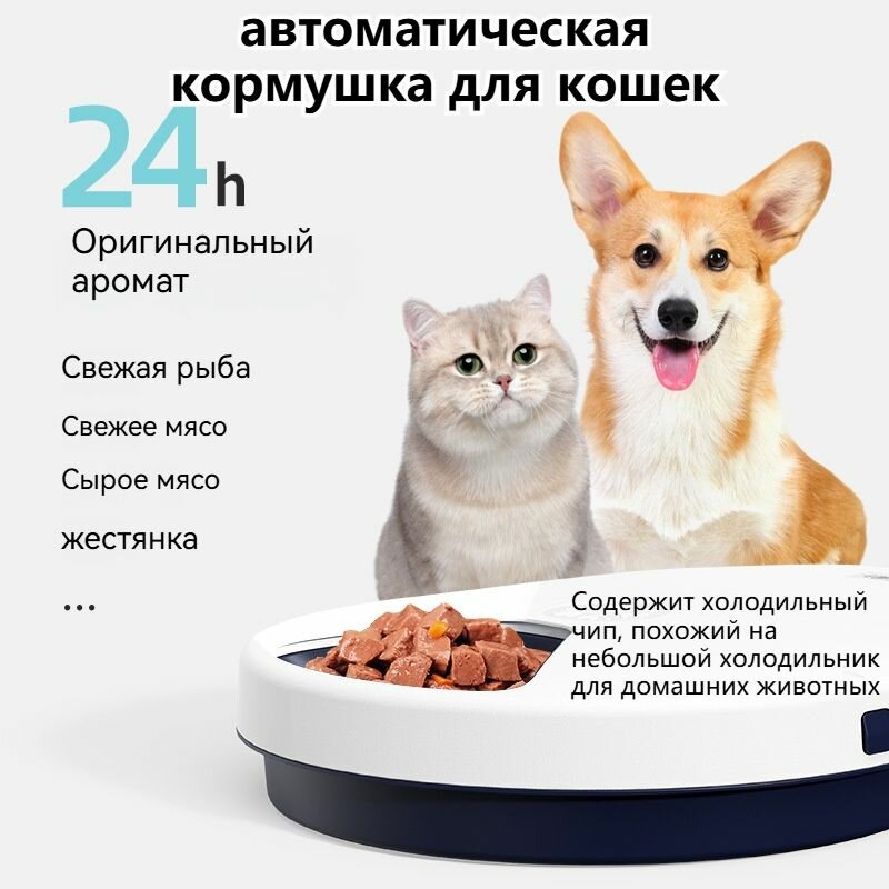 Миска для животных/автоматическая кормушка для кошек/Технология охлаждения для сохранения свежести