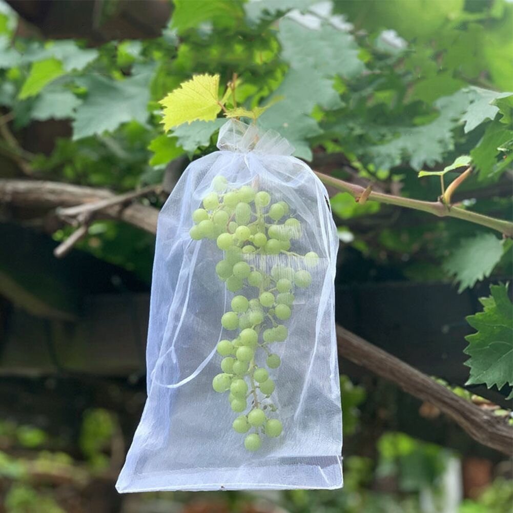 100шт Сетчатый мешок для овощей и фруктов , Сетки от ос / размер 10x15 (20X30) CM , Подходит для винограда, яблок, персиков, груш, хурмы, апельсинов