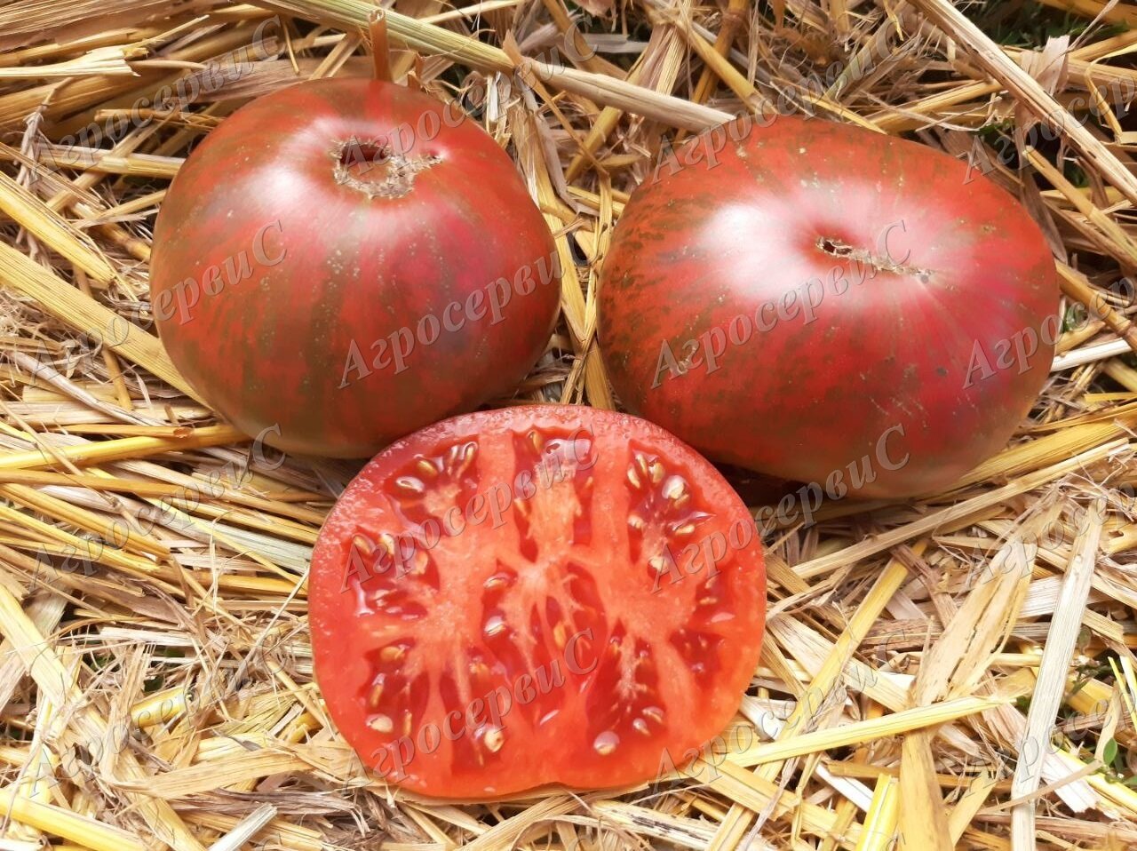 Томат Кровавая луна, 10 семян (коллекционные семена ручной фасовки)