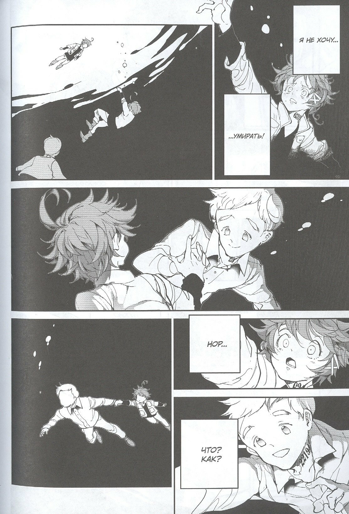 Обещанная страна грез. Книга 6 (Том 11, 12) (Обещанный Неверленд). Манга (Каиу Сираи)