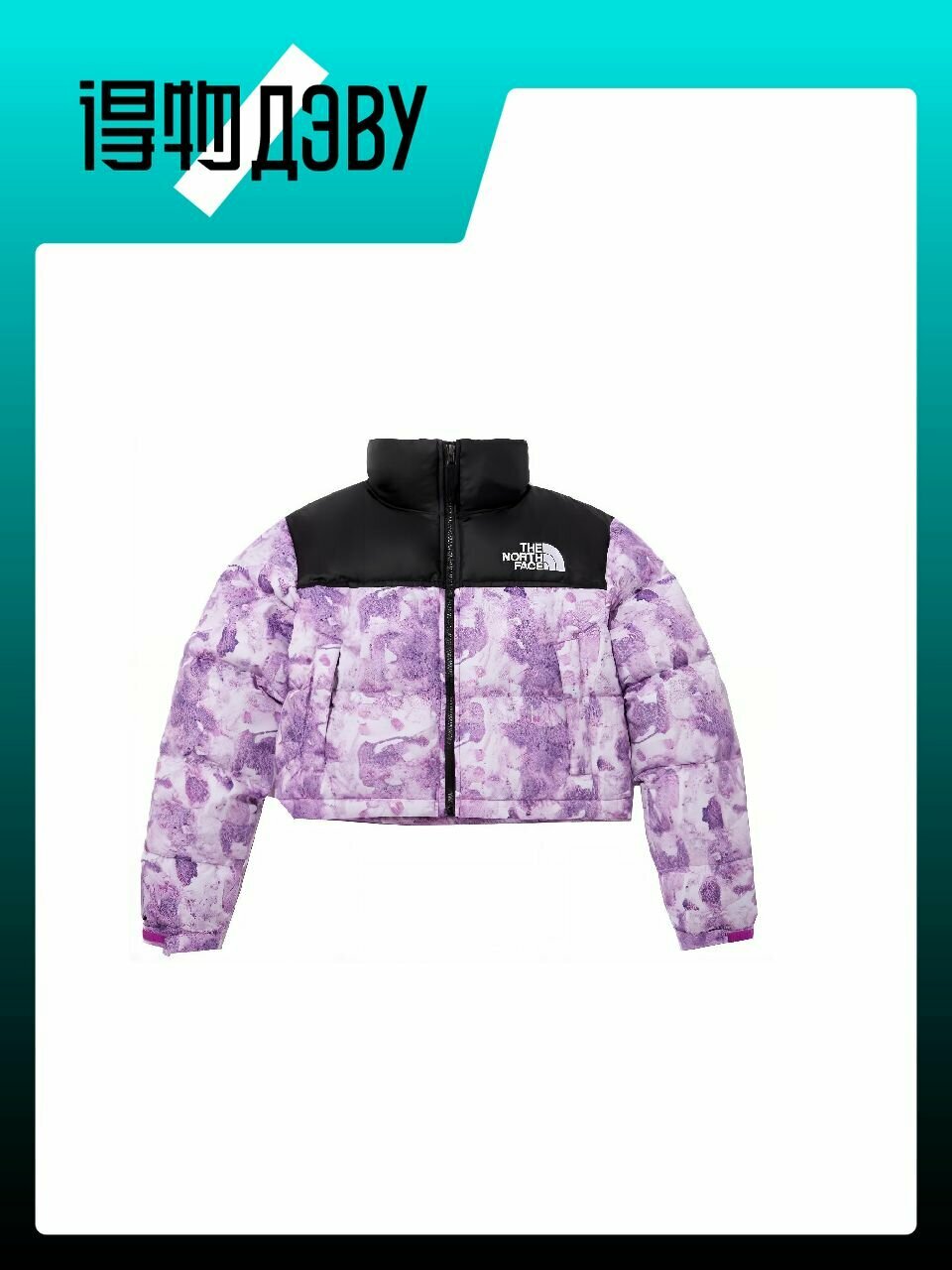 Пуховик Nuptse