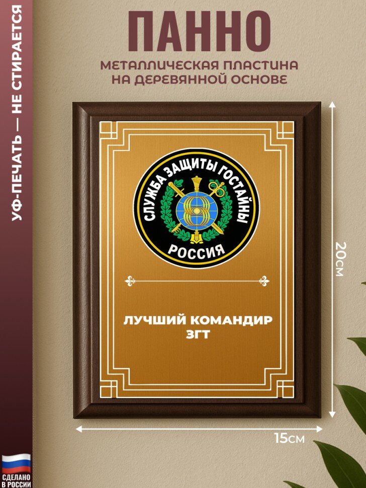 Настенный диплом "Лучший командир згт"