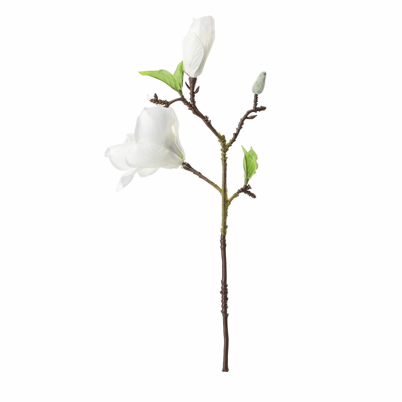 1 упаковка белых 2 коротких веточки цветов магнолии