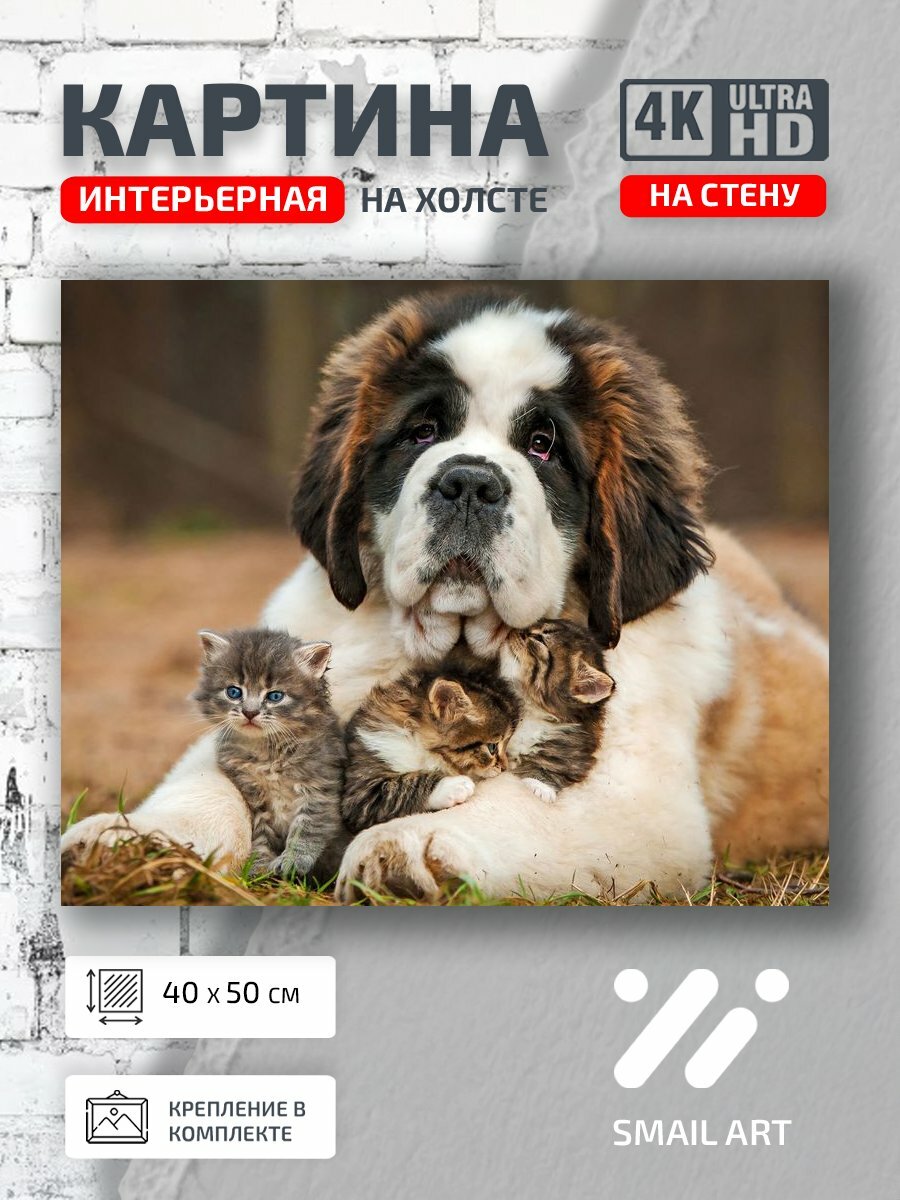 Картина на холсте интерьерная 40 на 50 на стену Котята Animal для спальни animal style