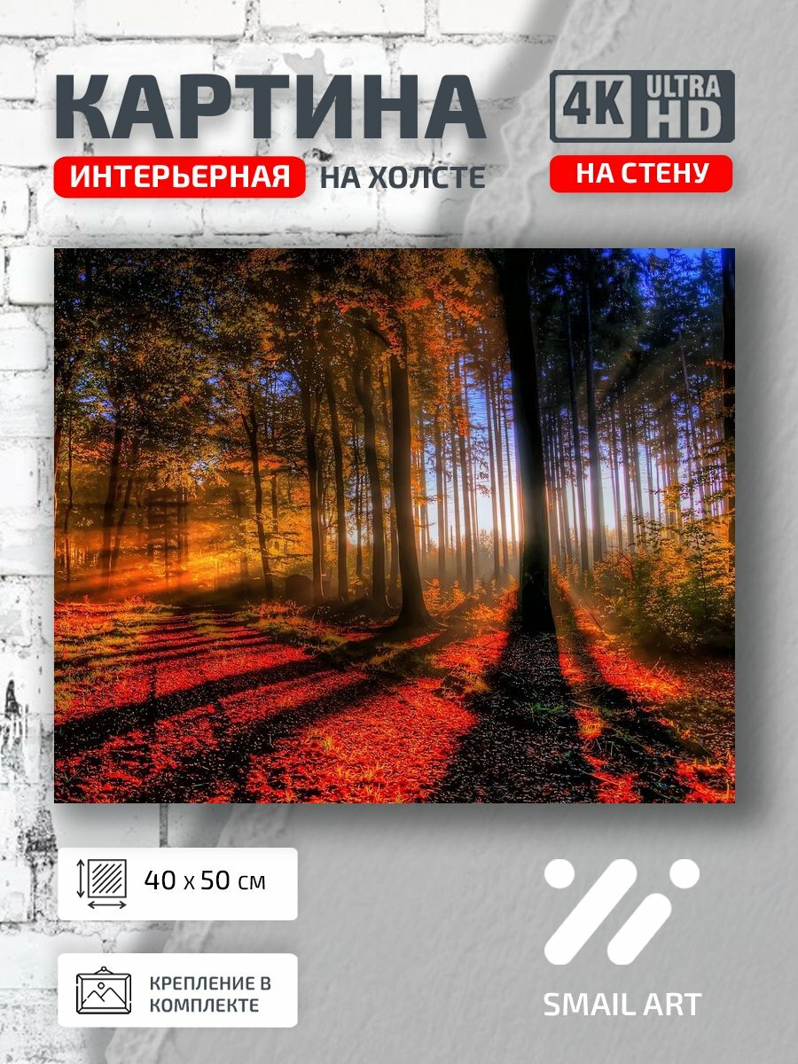 Картина на холсте интерьерная 40 на 50 на стену Солнце Landscape для офиса пейзаж интерьер