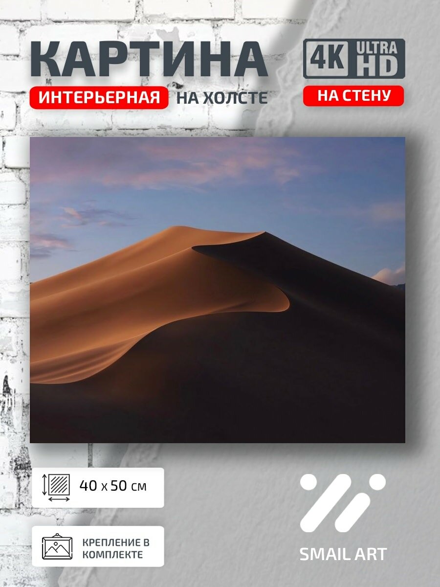 Картина на холсте интерьерная 40 на 50 на стену Природа Mojave для кафе пейзаж