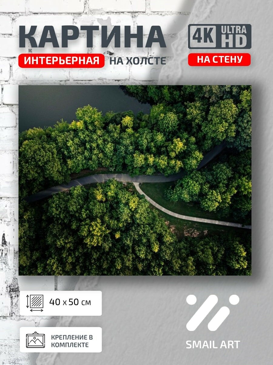 Картина на холсте интерьерная 40 на 50 на стену Природа Лес для спальни пейзаж