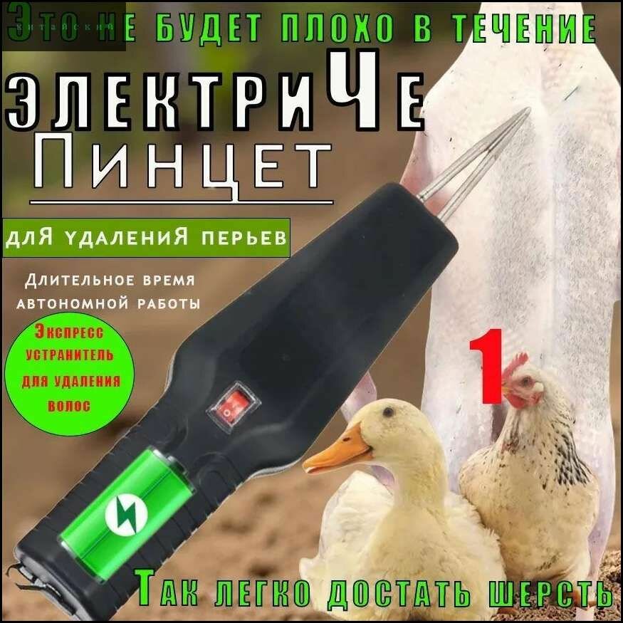 Электрический пинцет для удаления кур, уток, гусей и птиц