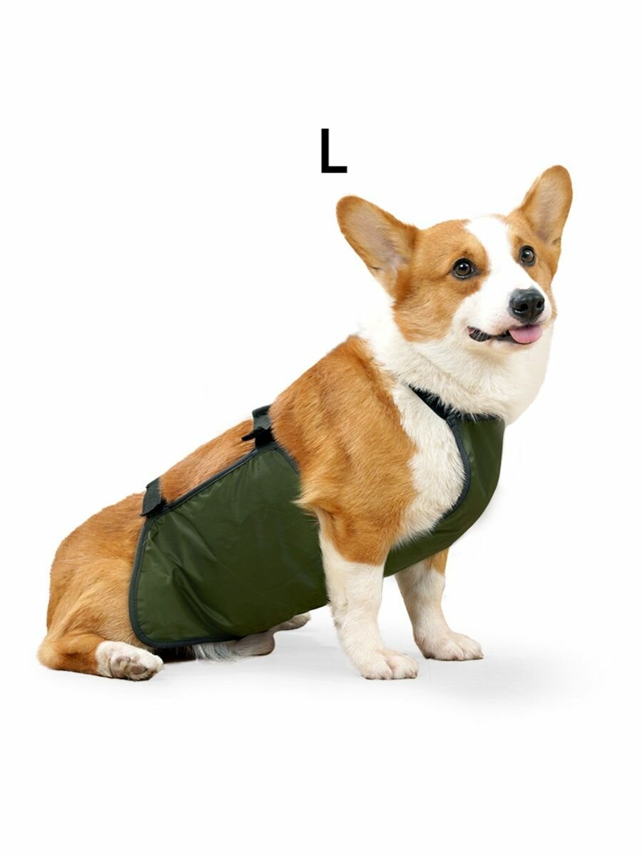 Одежда для животных