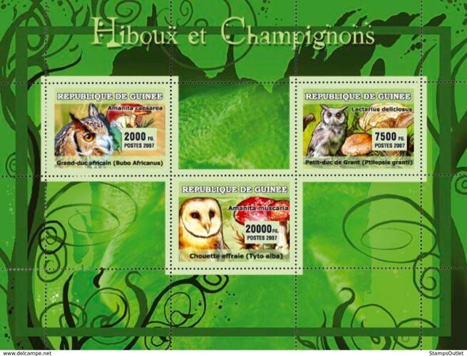 Почтовые марки Гвинея 2007г. "Совы" Совы, Грибы MNH