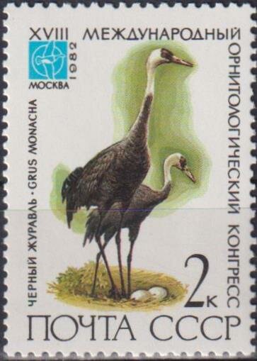 Почтовые марки СССР 1982г. "Чёрный журавль" Птицы MNH