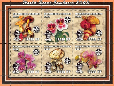 Почтовые марки Мозамбик 2002г. "Всемирный скаутский Джамбори (2003)" Орхидеи, Цветы, Грибы, Скауты MNH