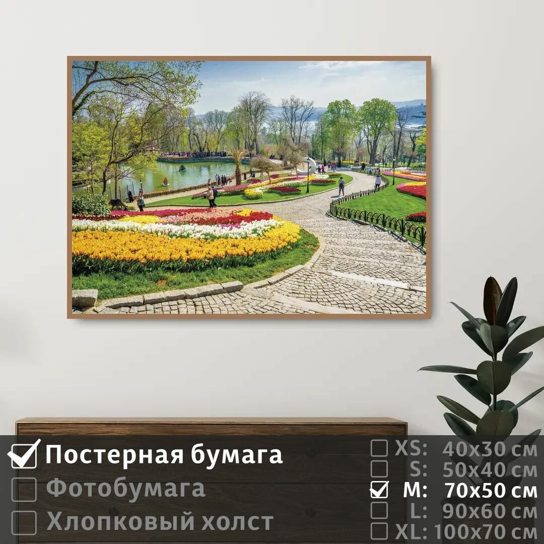 Постер на стену Весенние Тюльпаны В Стамбуле 70х50 см ПолиЦентр