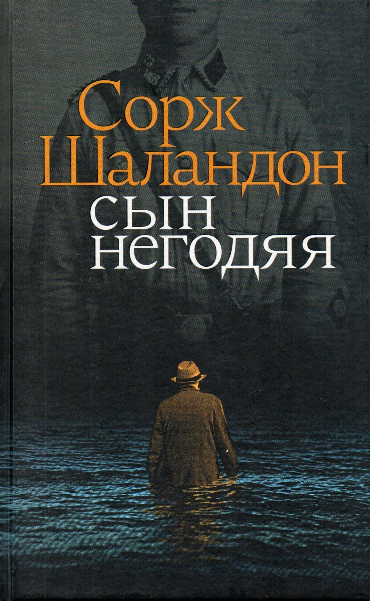 Сын негодяя: роман