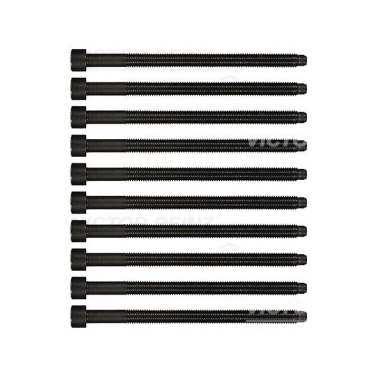 Болт ГБЦ VICTOR REINZ 143212101 комплект Audi A3/A4/A6/VW Golf/Passat 1.9TDi 98-