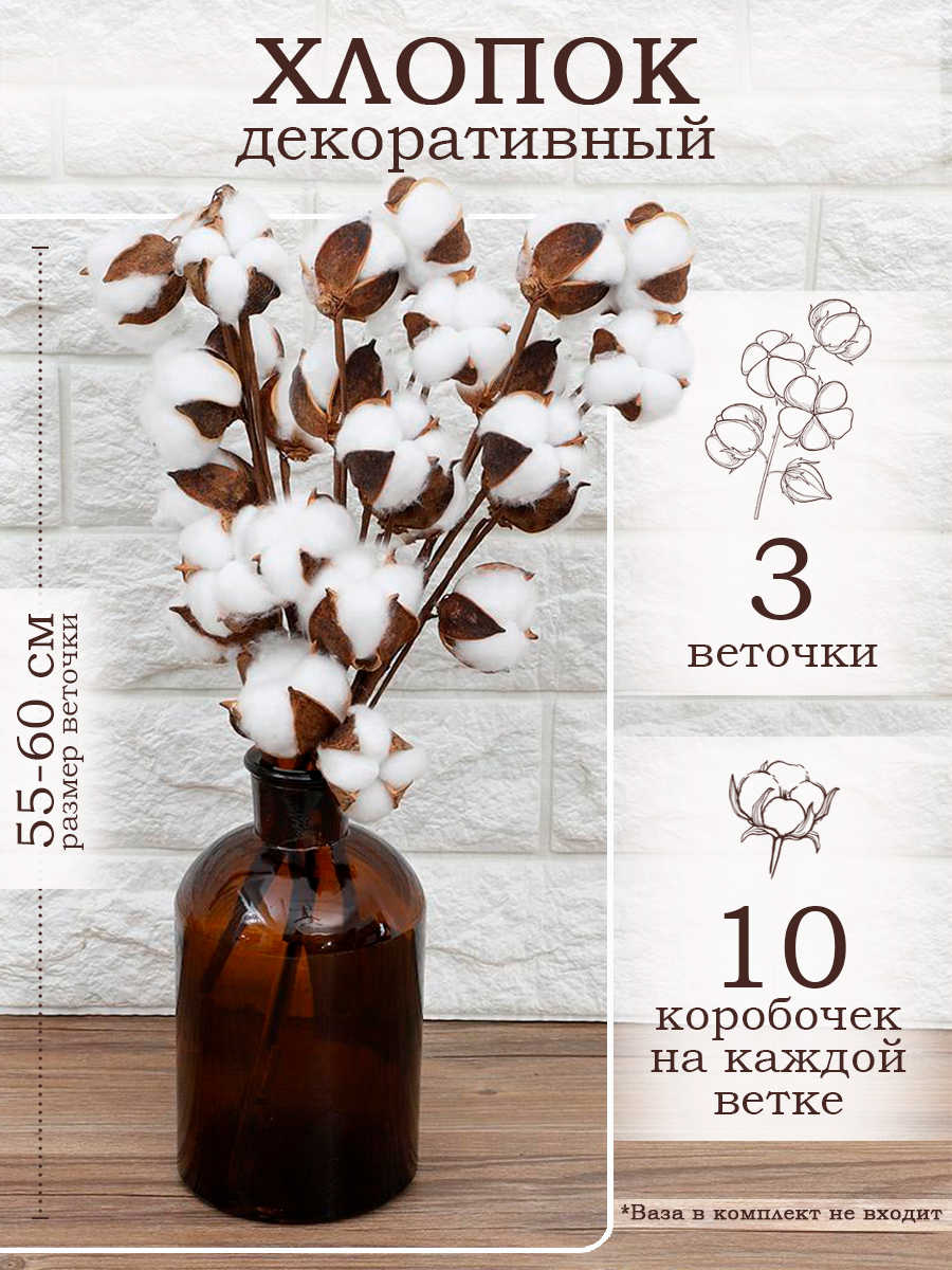 Сухоцветы Хлопка декор цветы букет 30 бутонов