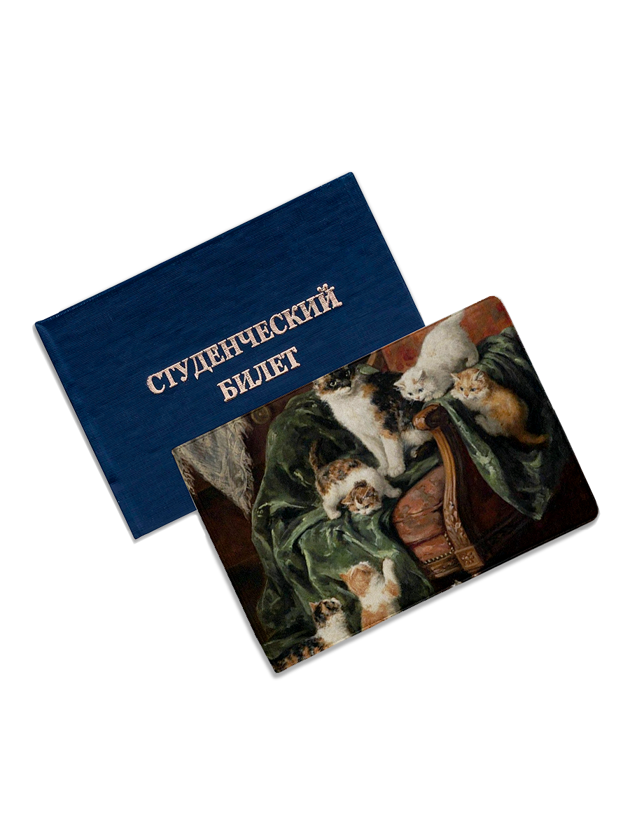 Обложка для студенческого билета