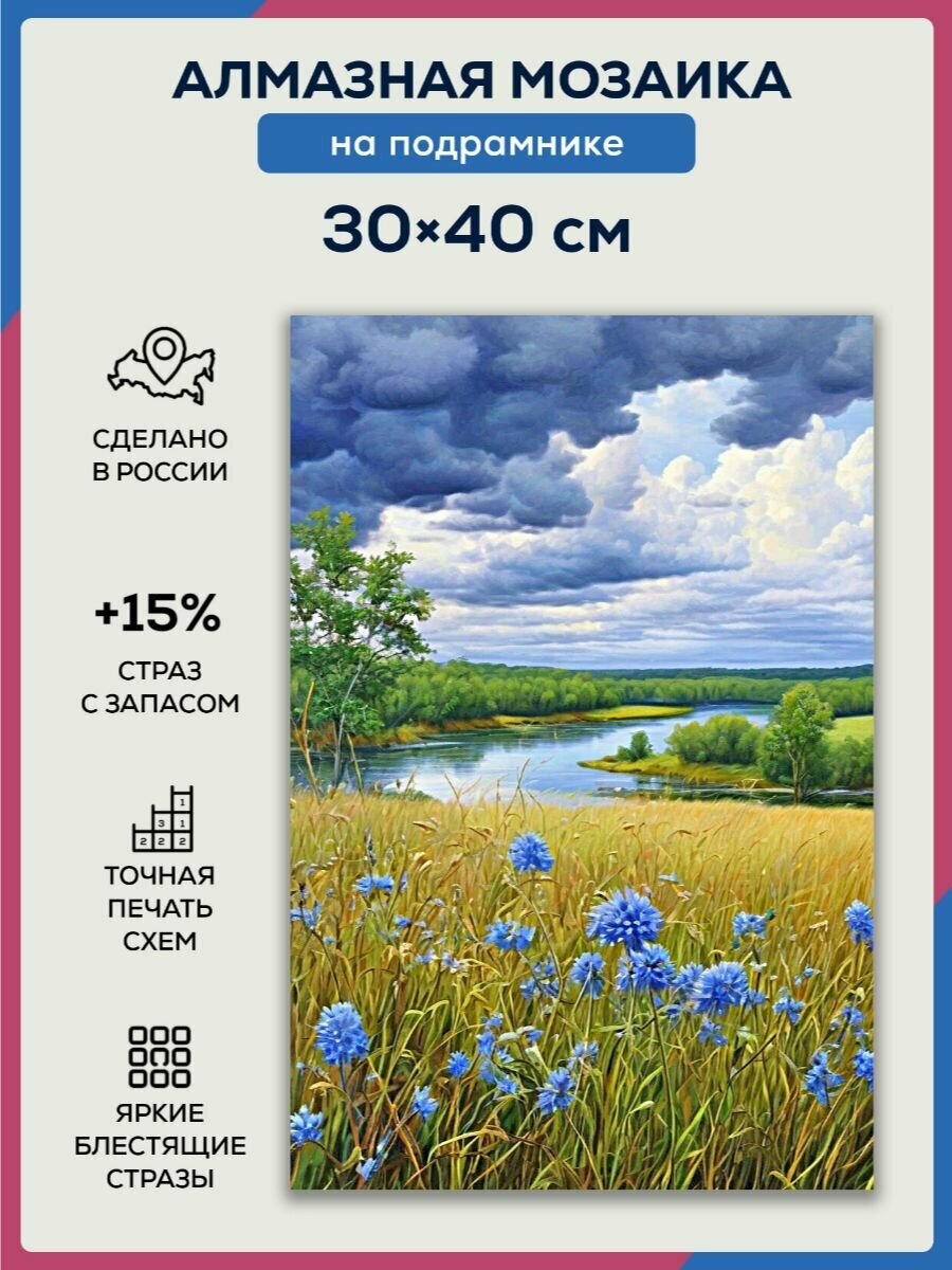 Алмазная мозаика 30x40 Васильки в поле на подрамнике