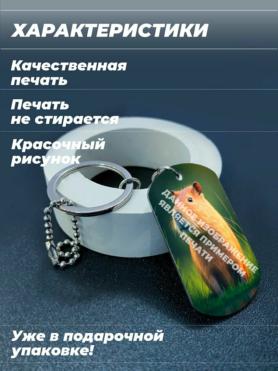 Брелок PNP — фото 1