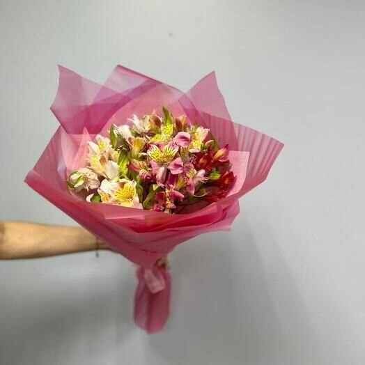 Нежный букет альстремерии 9 шт