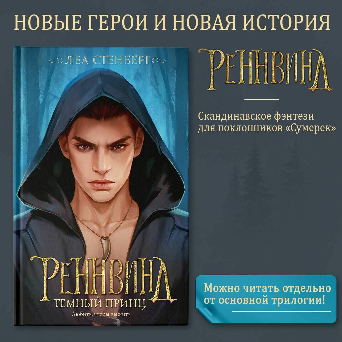 Реннвинд. Темный принц — фото 1