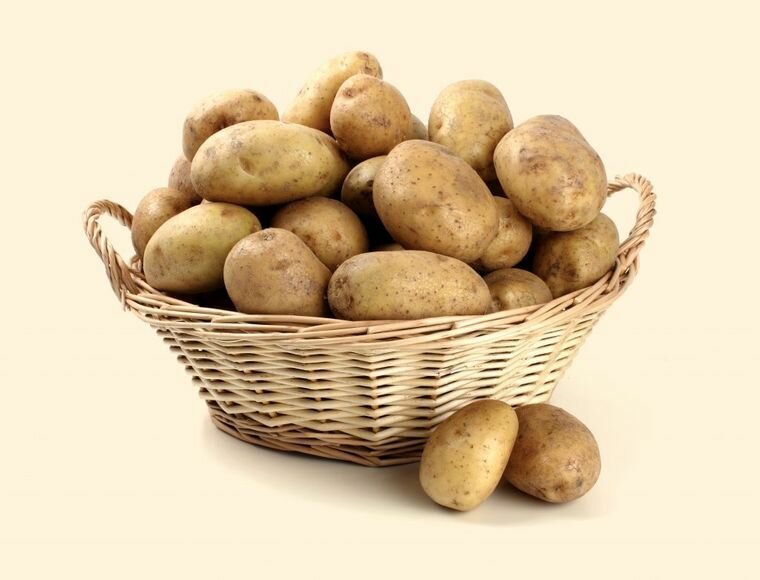 Картофель Ассоль