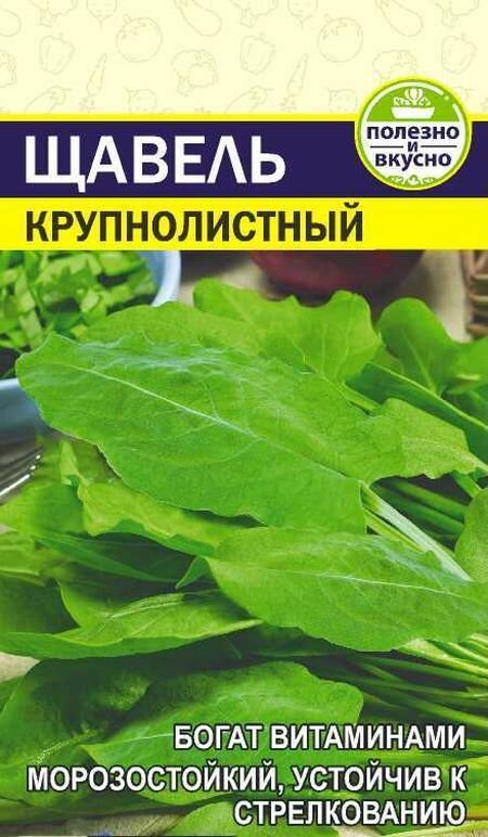 Щавель Крупнолистный