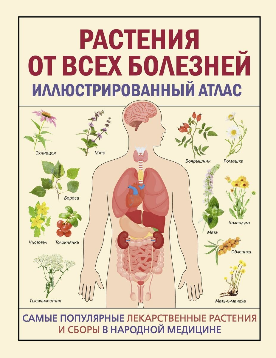 Книга АСТ Азбука здоровья, Растения от всех болезней. Иллюстрированный атлас, 2024 г, 64 стр