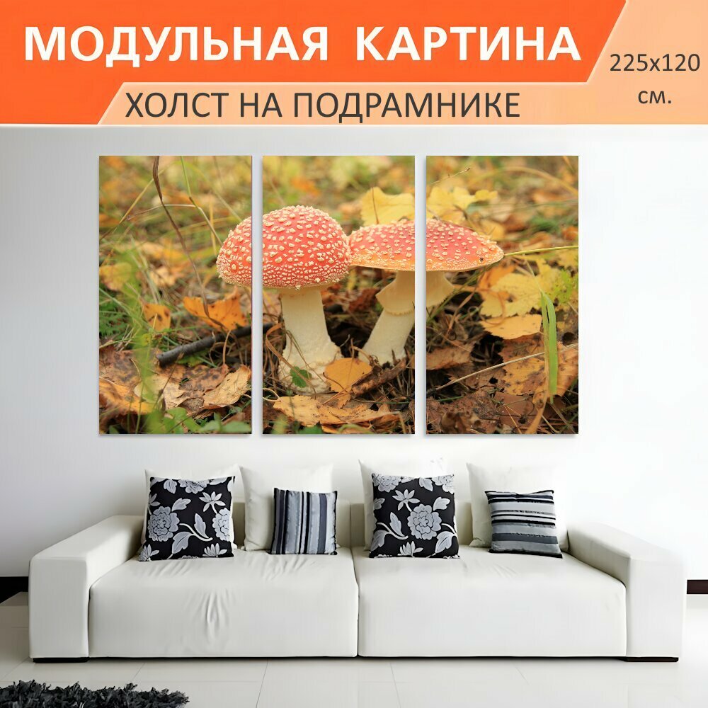 Модульная картина на холсте "Мухомор, гриб, леса" триптих на подрамнике 225х120 см. для интерьера