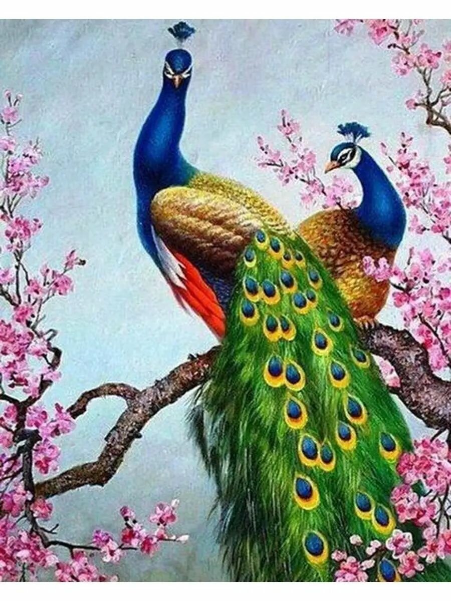Алмазная мозаика на подрамнике 40х50 полная выкладка круглые стразы "Влюбленные павлины жар птица". Набор творчества и хобби. Для взрослых и детей. Мозайка