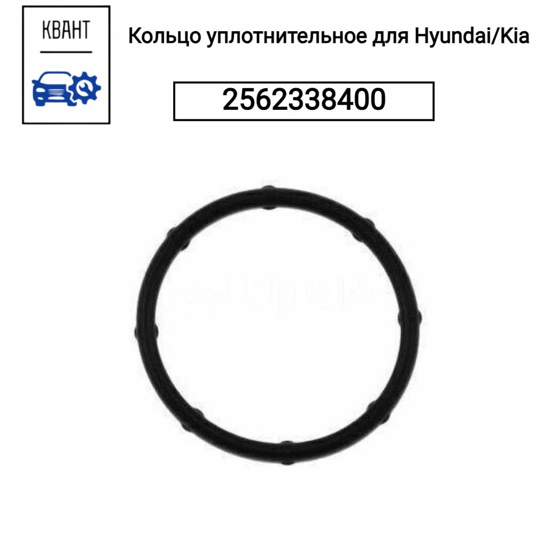 Кольцо уплотнительное для Hyundai/Kia 2562338400