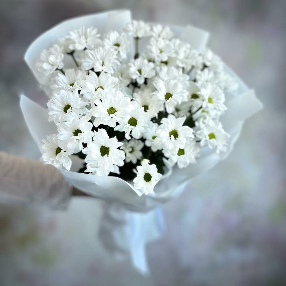 Букет из белых кустовых хризантем (Ромашки)
