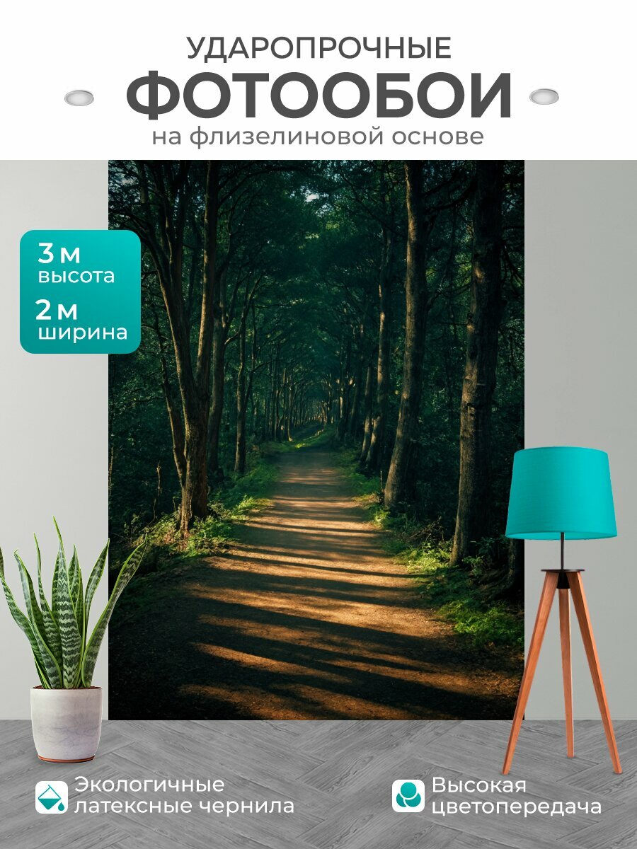 Фотообои моющиеся ударопрочные "Лес в стиле готический: узкая тропинка, утопающая в тени дремучего леса, с эффектом глубокой перспективы и загадочными" 200x300 см. флизелиновые на стену