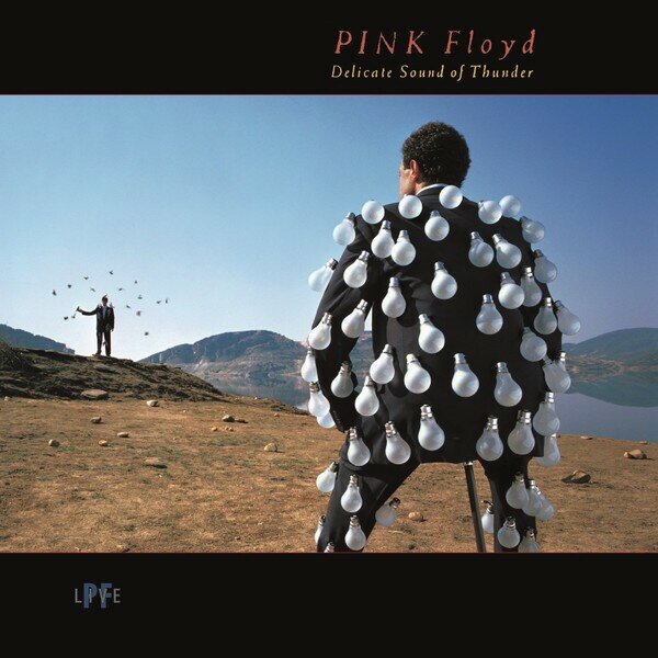 Pink Floyd - Delicate Sound Of Thunder (2LP)