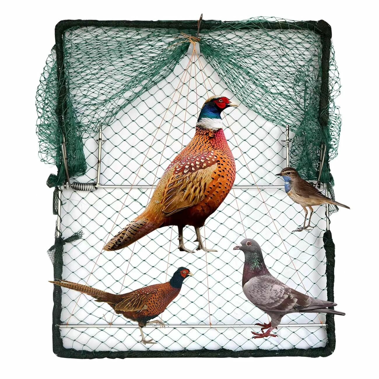 Ловушка для птиц инструменты для кемпинга охотничьей клетки голубей, фазанов уток других птиц，50*60cm