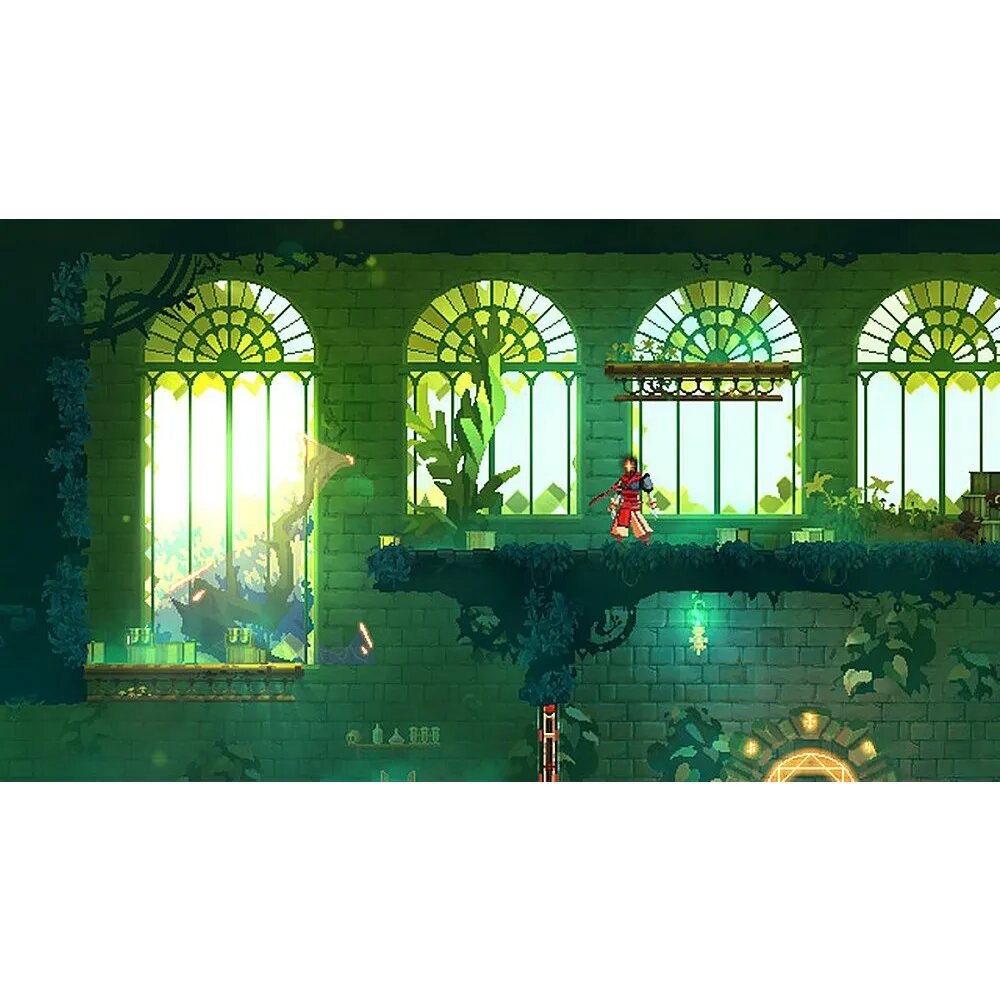 Nintendo Switch Dead Cells Return to Castlevania игра — фото 1