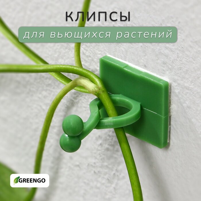 Крепления для вьющихся растений, самоклеящиеся, d=9 мм, цвет микс, Greengo