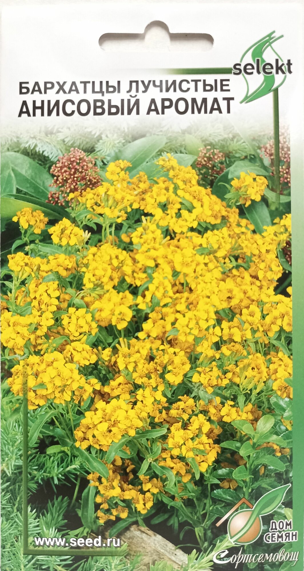 Бархатцы Лучистые Анисовый Аромат (Мексиканский Эстрагон) одновременно цветок и пряно-вкусовое растение, 250 семян
