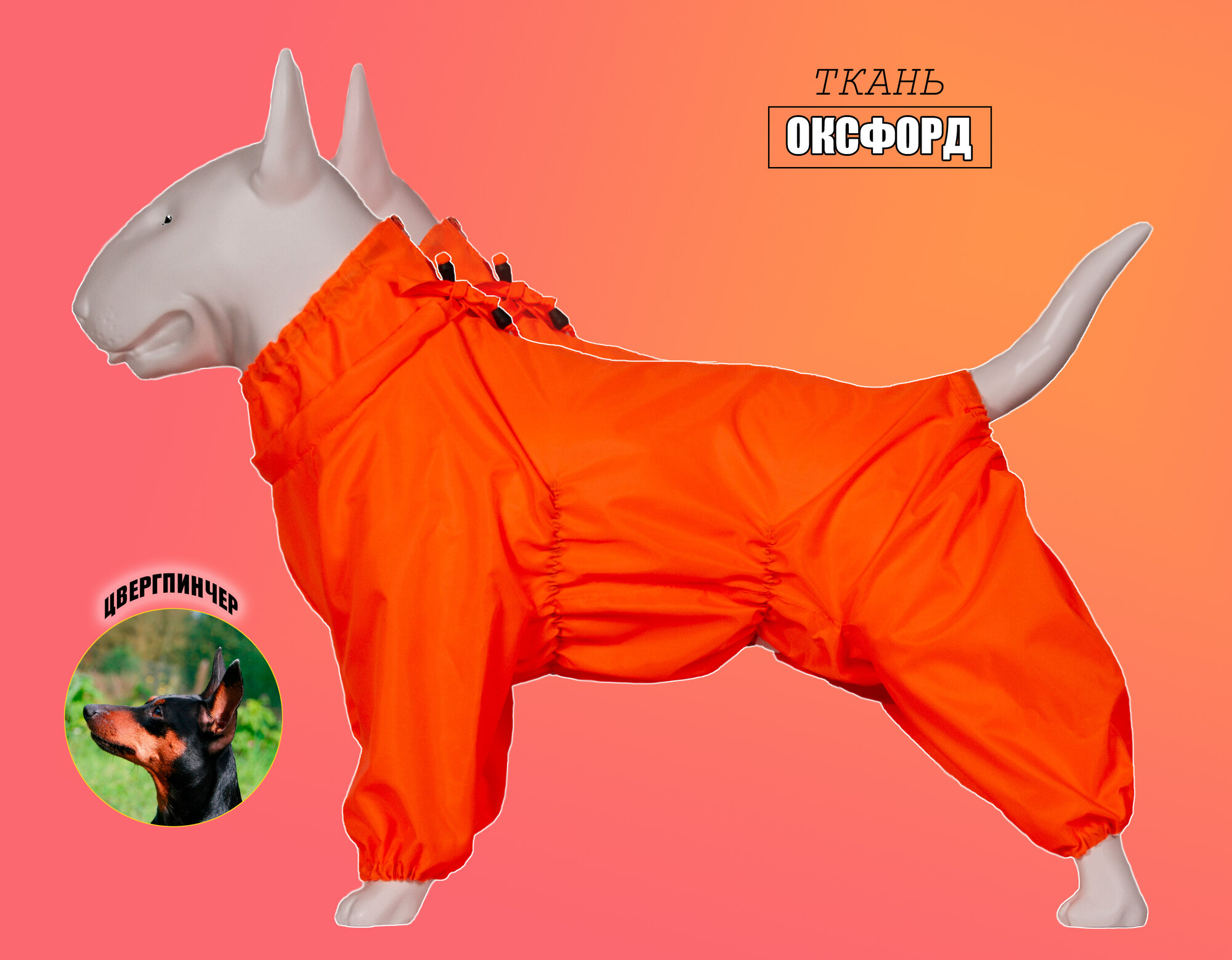Комбинезон-дождевик для цвергпинчера (карликового пинчера) кобеля, повышенной прочности, цвет оранжевый