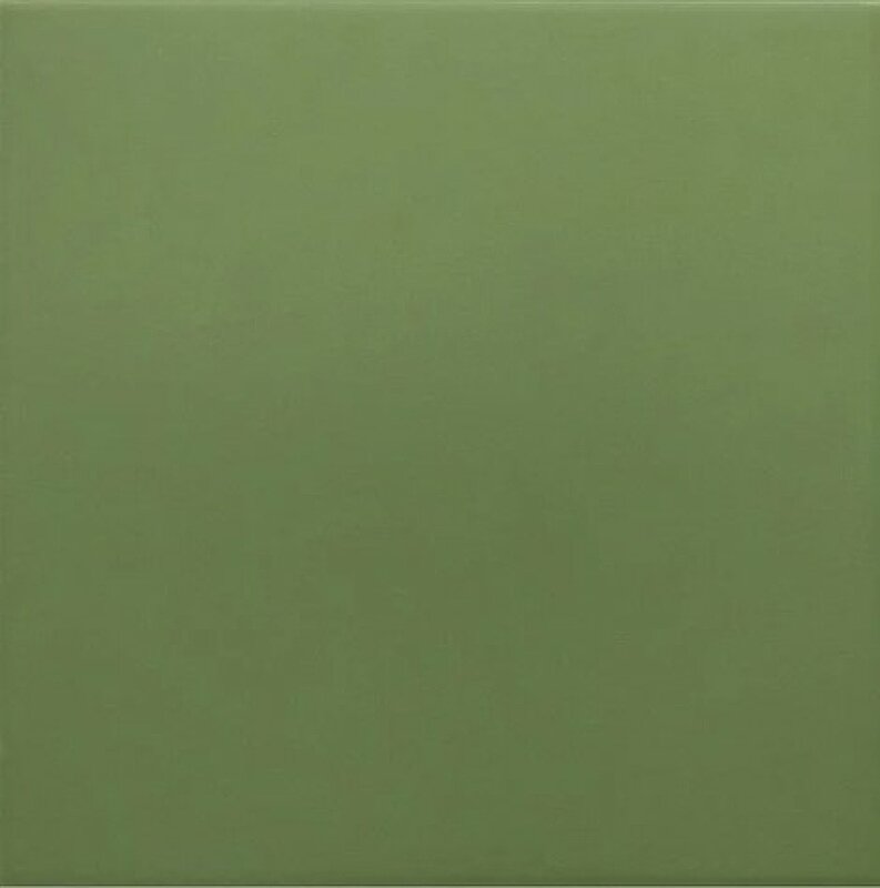 Керамогранит Equipe Rivoli Green 30716 20x20 см, современный стиль