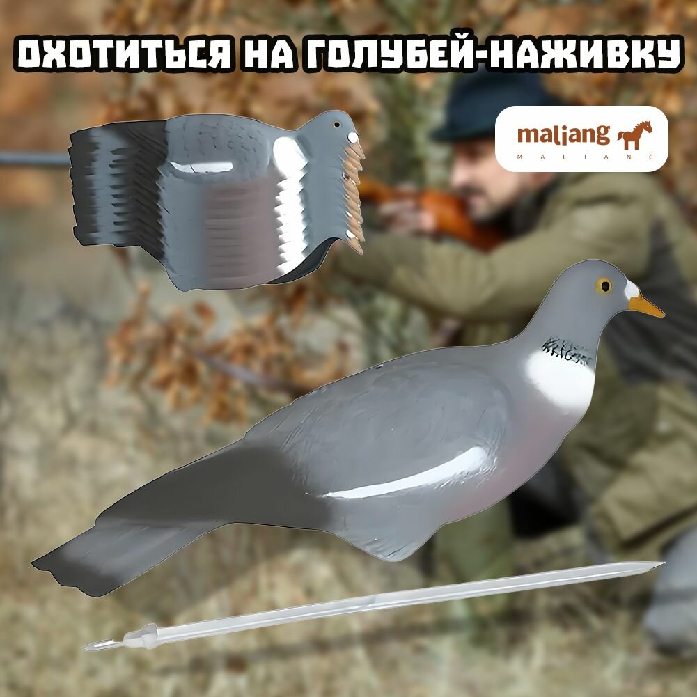 Муляж / Чучело голубя вяхиря, скорлупка - 5 штук