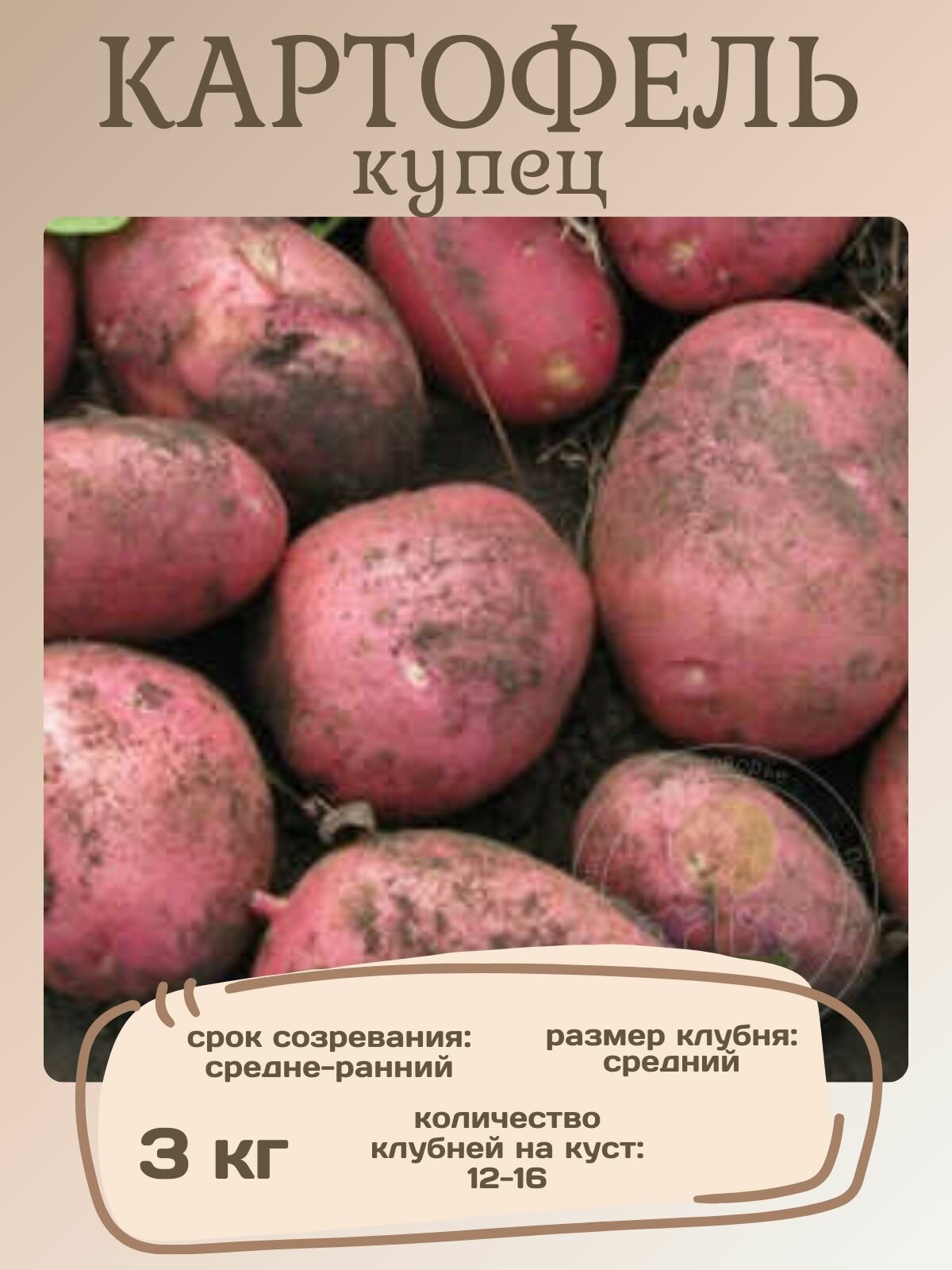 Семенной картофель 3 кг, на посадку