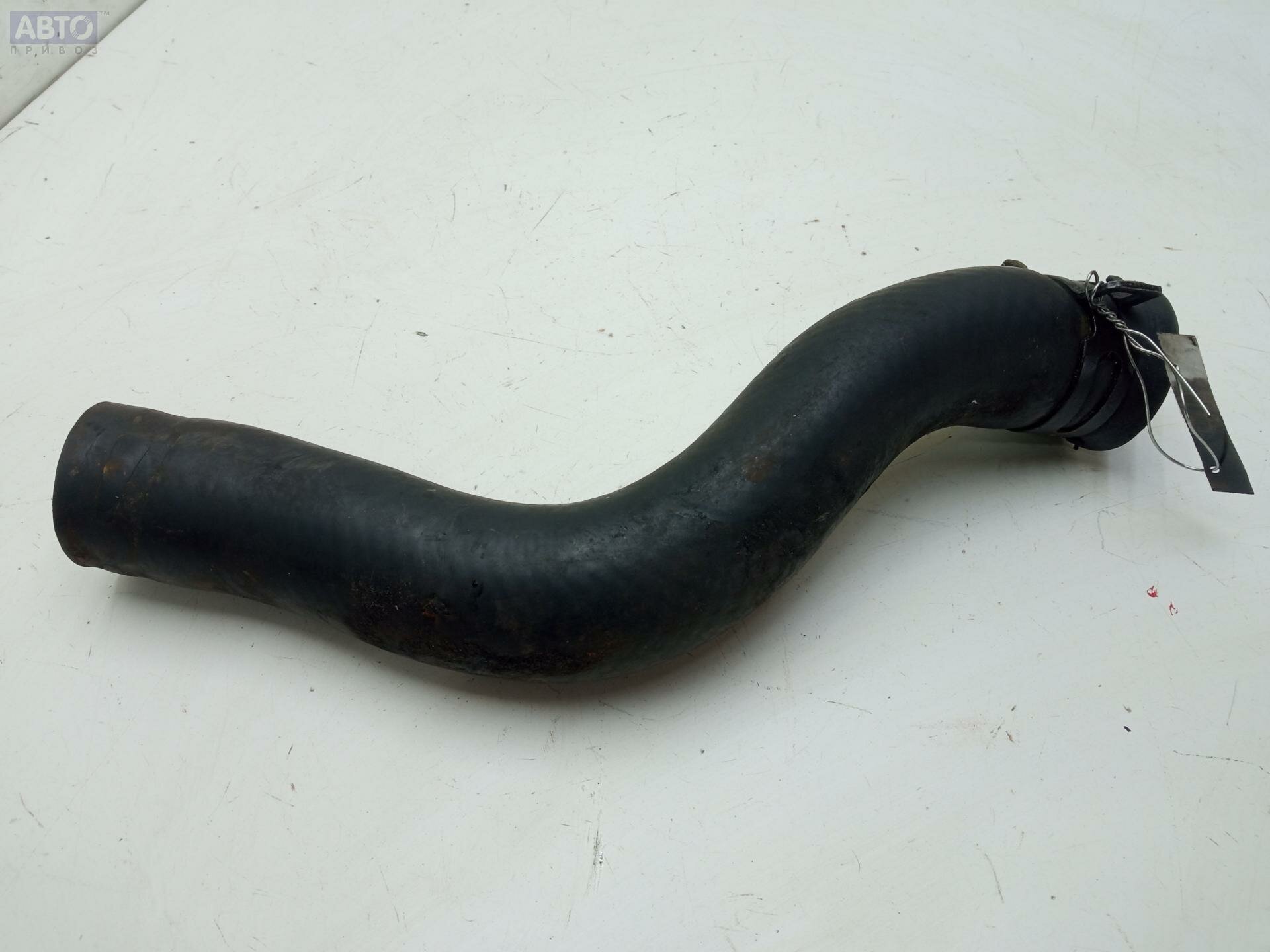 Патрубок Kia Carnival