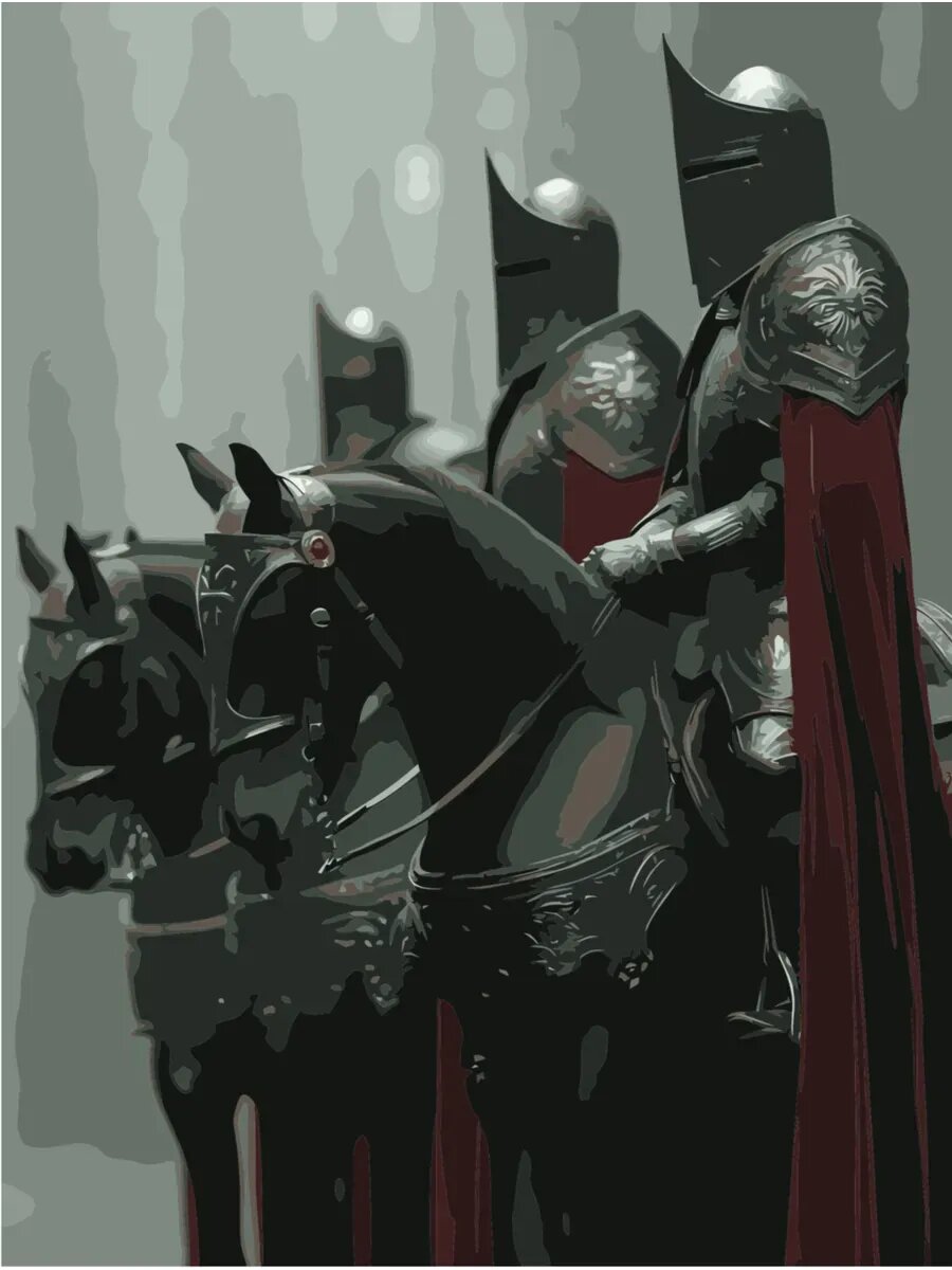 Картина по номерам 30x40 см рыцари