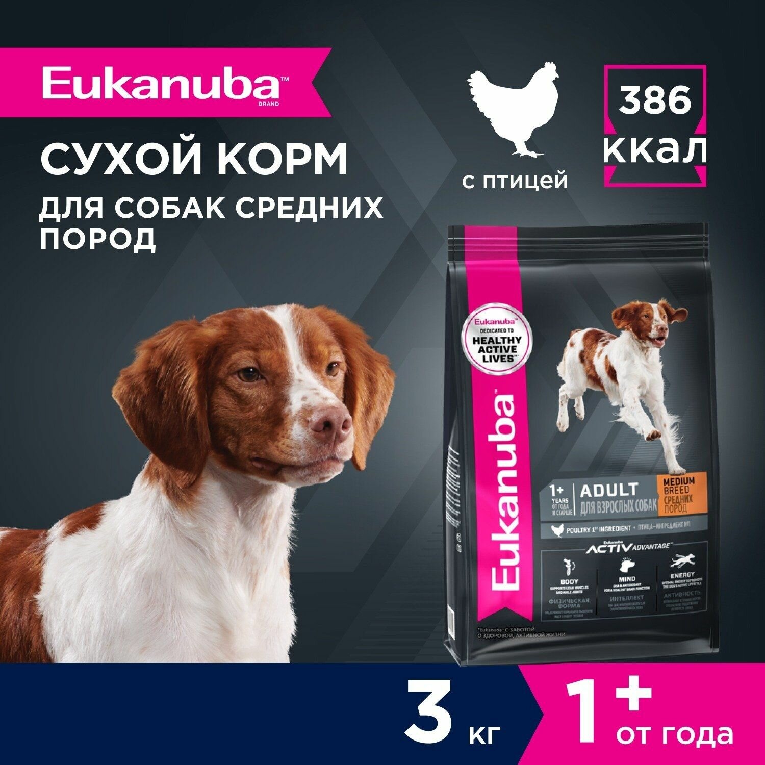 Eukanuba - Сухой корм для взрослых собак средних пород 3 кг